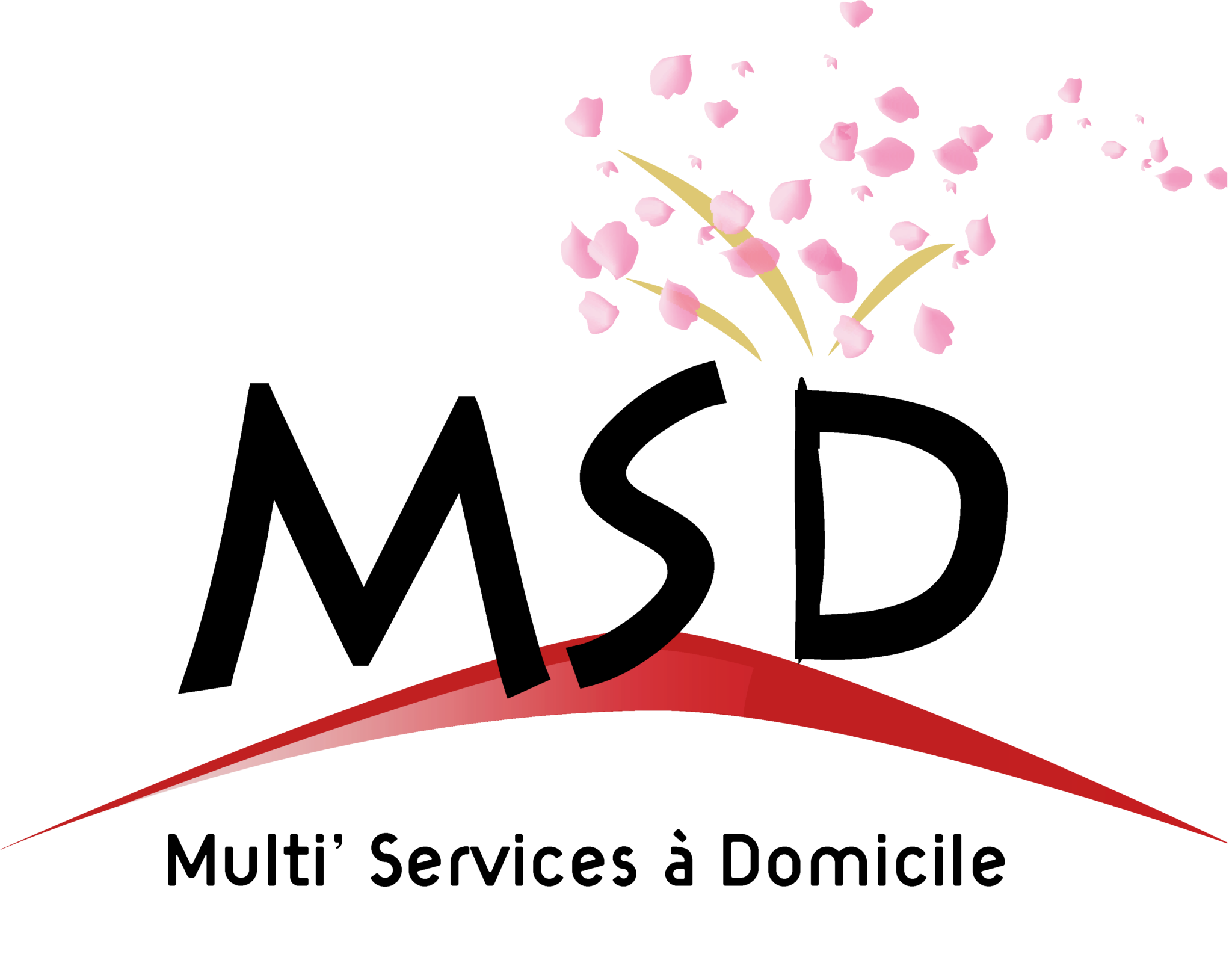 MSD multiservice à domicile